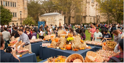 5 Reasons to Love Yale University - Collegeboxes: College Moving ...